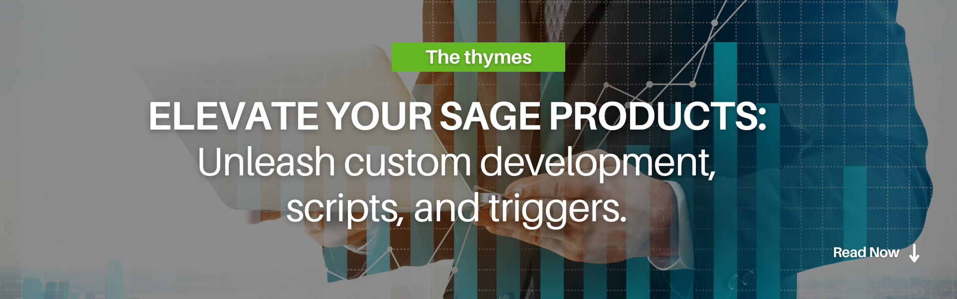 Elevate Your Sage Products: Unleash Custom Development, Scripts, and Triggers - Thyme Technologies
